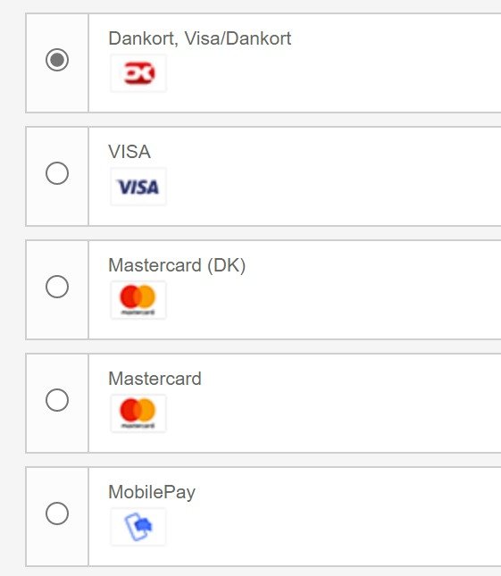 Betaling af beløb - RIGGERNE - Riggerne